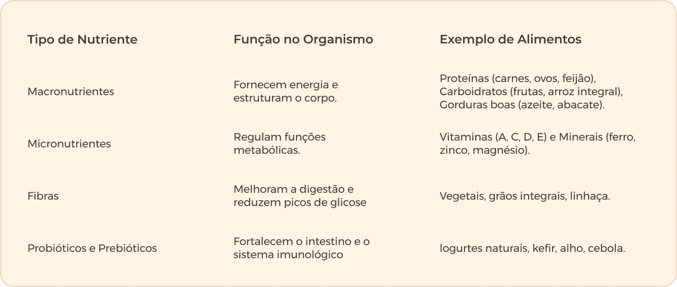 Nutrição Alimentar: Como a escolha certa dos alimentos pode transformar ...
